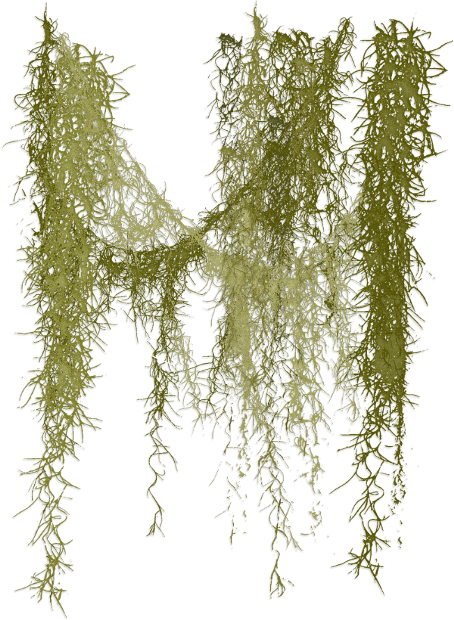 pngegg (63) — Postimages