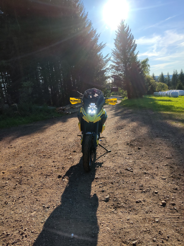 Fern LED Tag — Postimages