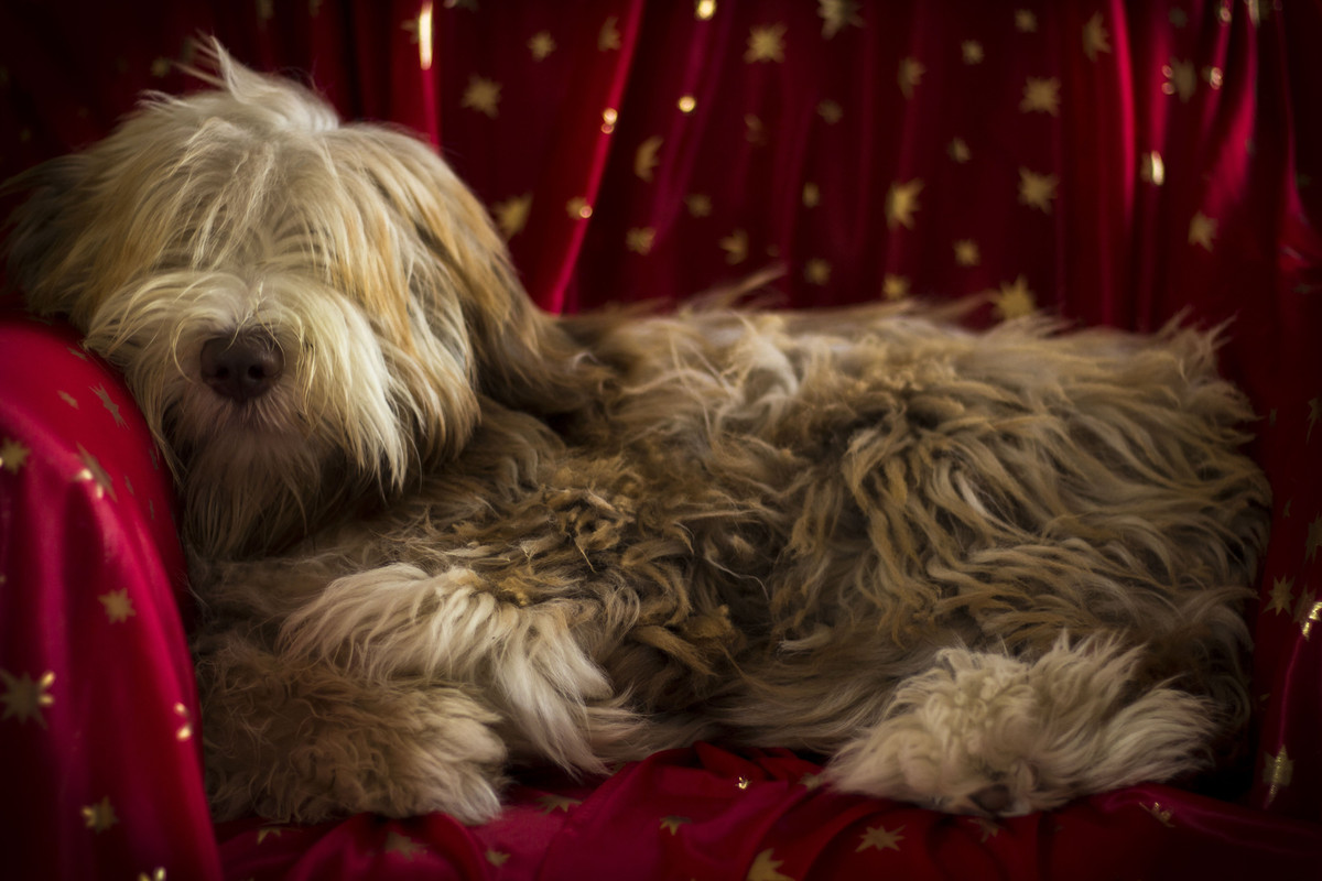 bx3yn99wyal — Postimages