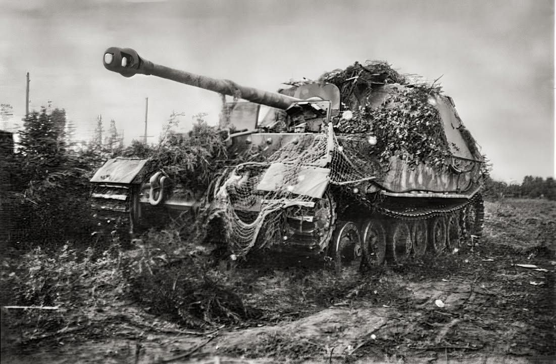 Le Jagdpanzer Ferdinand/Elephant - Page 8