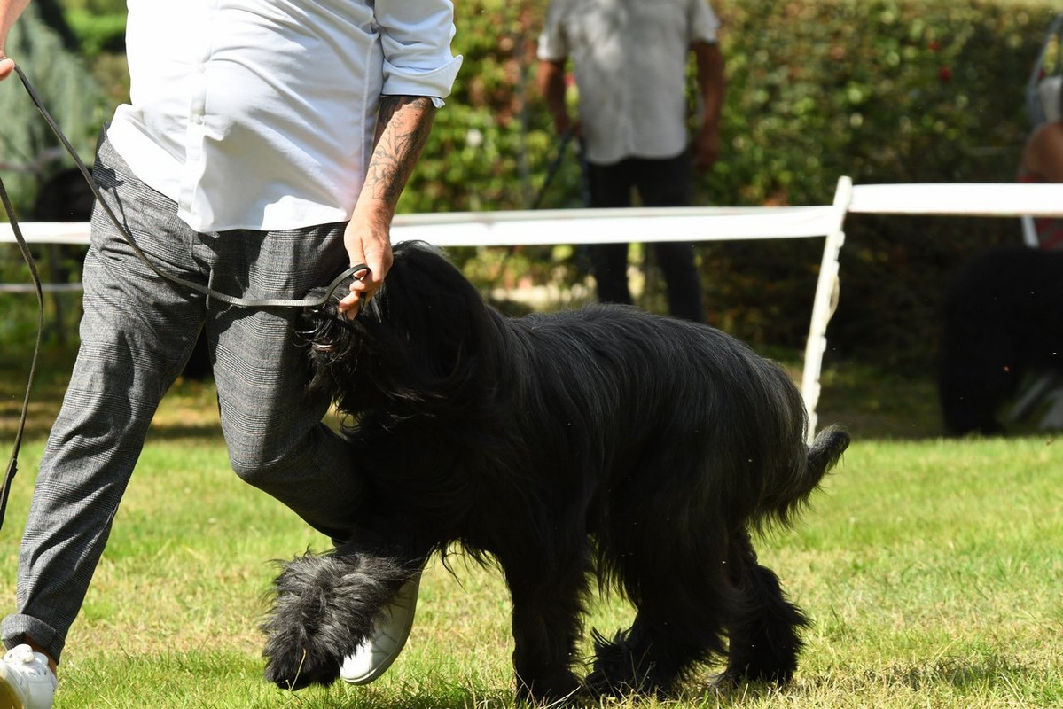 DSC 5285 — Postimages