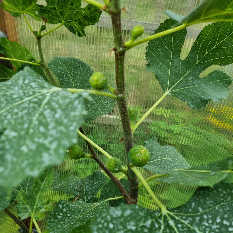 20230630 164129 — Postimages