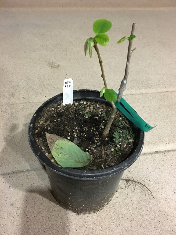 IMG 3045 — Postimages