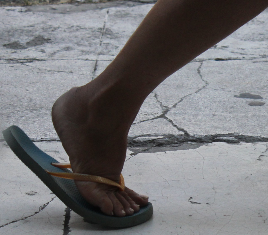 IMG 3498 (2) — Postimages