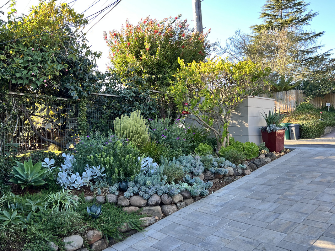 IMG 0803 — Postimages