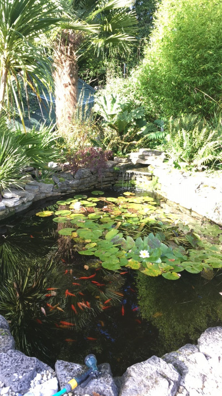 06872844 F9 D1 4 B5 E 9 C2 E BB57 BDA748 D2 — Postimages