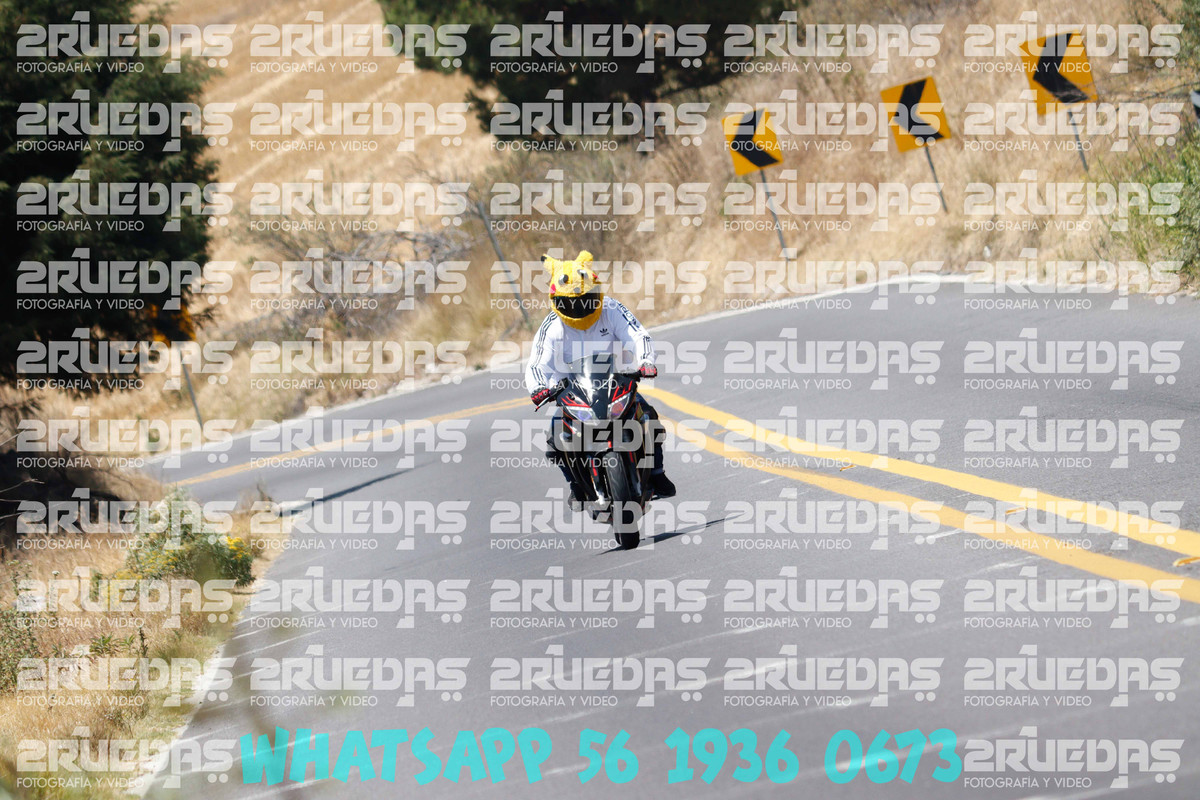 MG 1118 — Postimages