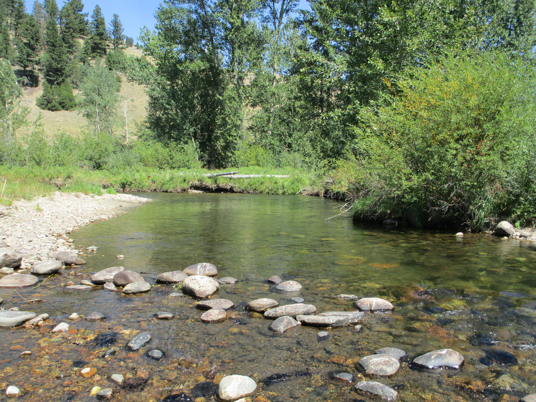 IMG 0203 — Postimages