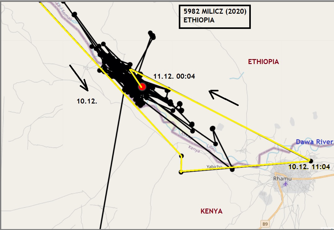 Black Stork Tracks - Page 564 - Looduskalender