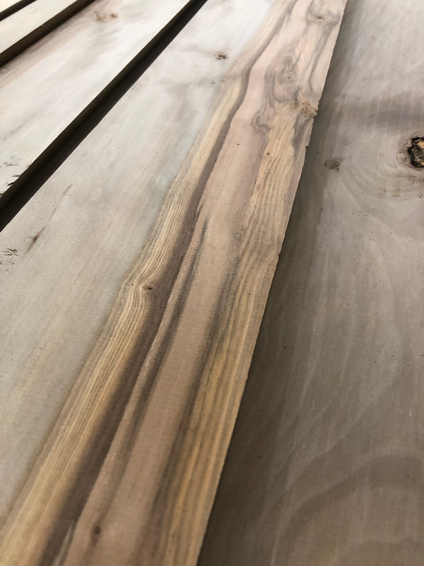 Gum wood | LumberJocks Woodworking Forum