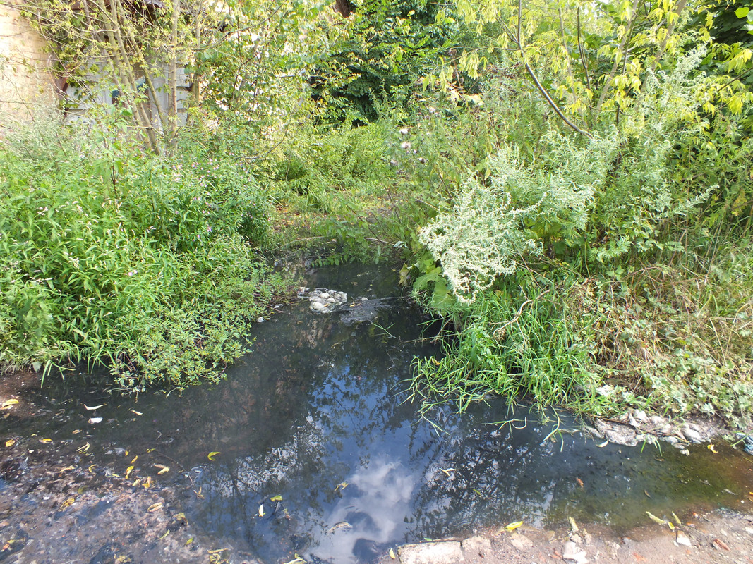 DSCF0292 — Postimages