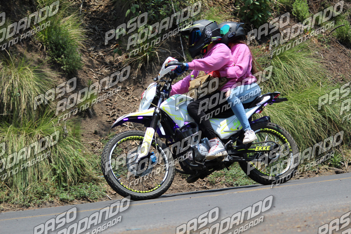 IMG 0833 wm 233907 watermarked — Postimages