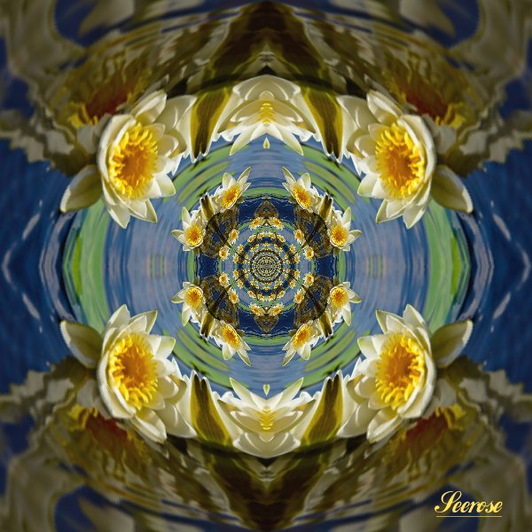 Polar Singularity - Plugins - Publishing ONLY! - Paint.NET Forum