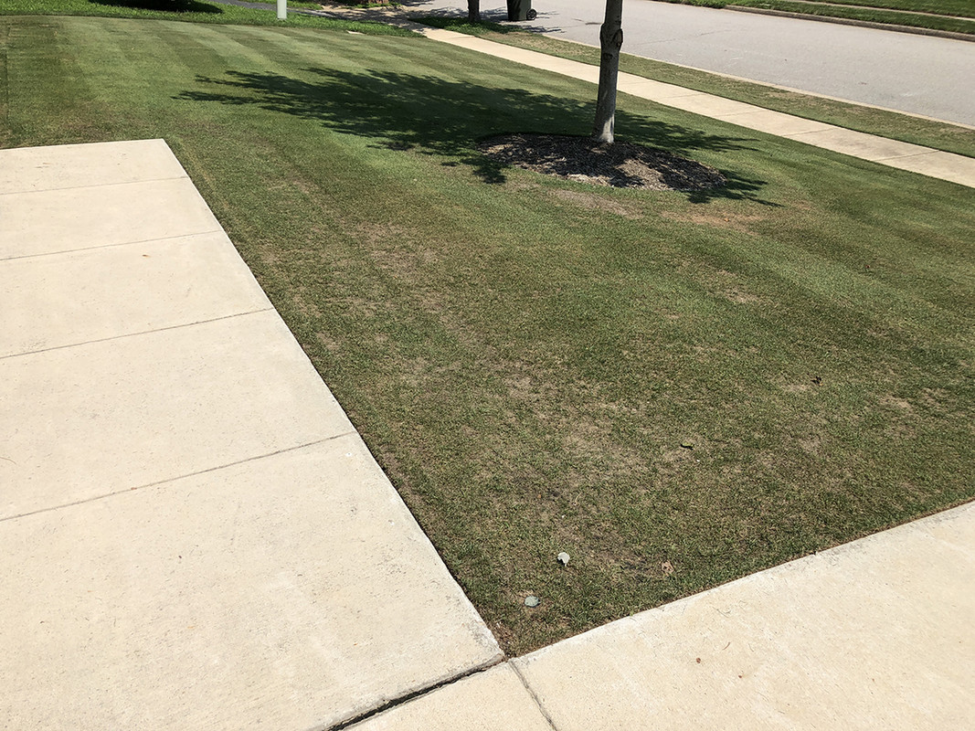 IMG 5575 — Postimages