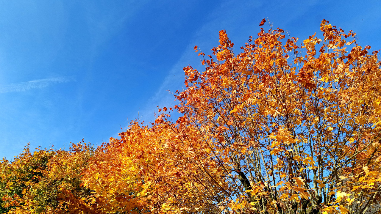 IMG 20241015 131728 — Postimages