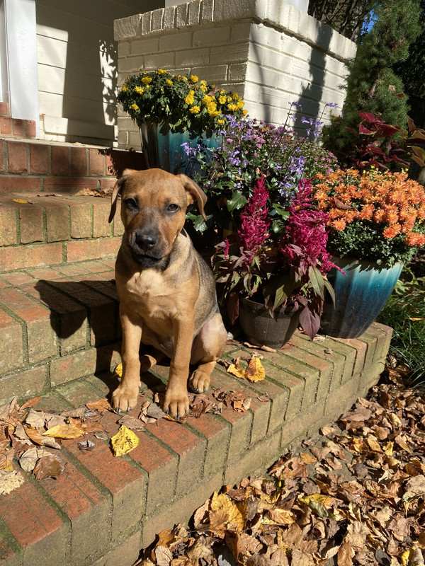 IMG 2659 — Postimages