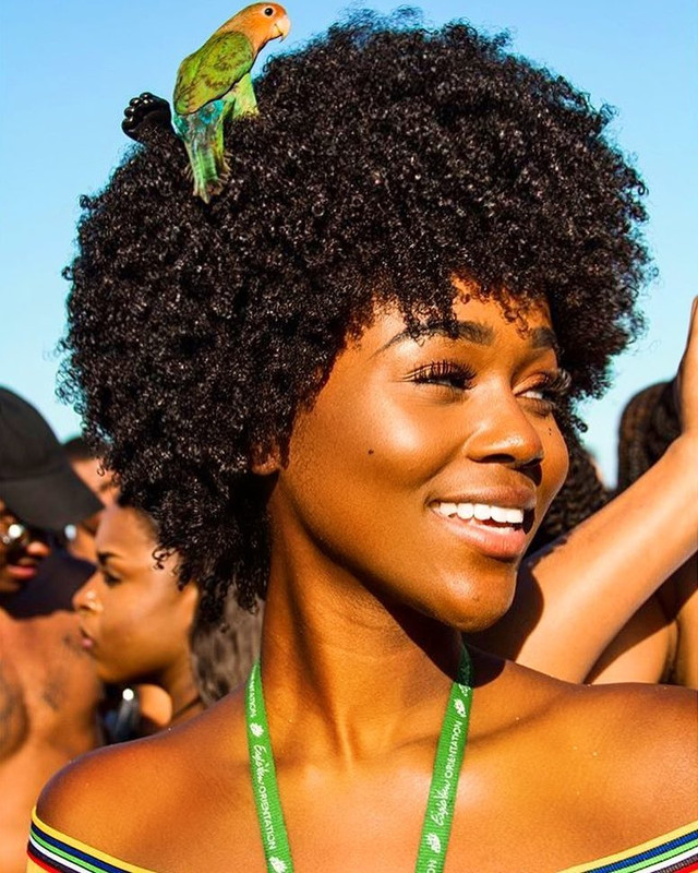 btb (69) — Postimages