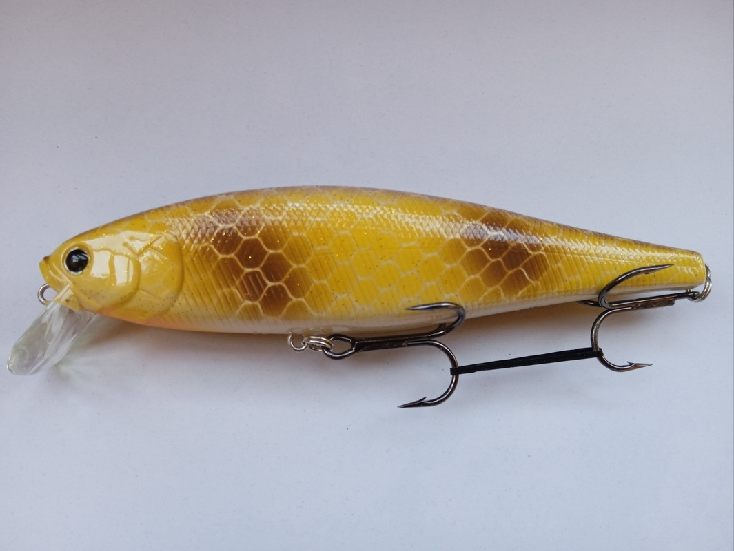 IMG 20220826 110038 — Postimages