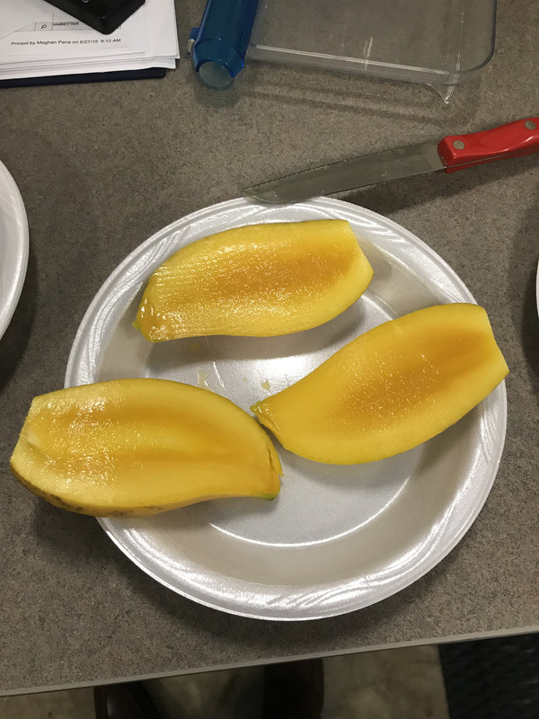 0 A0 FFA96 F0 E4 4 DB3 A2 DC F02866063 FC5 — Postimages