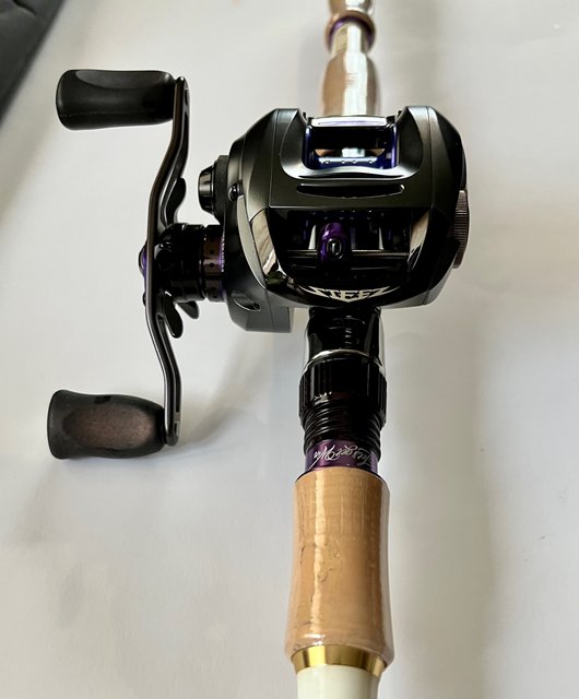 Sedition WF Rod2 — Postimages