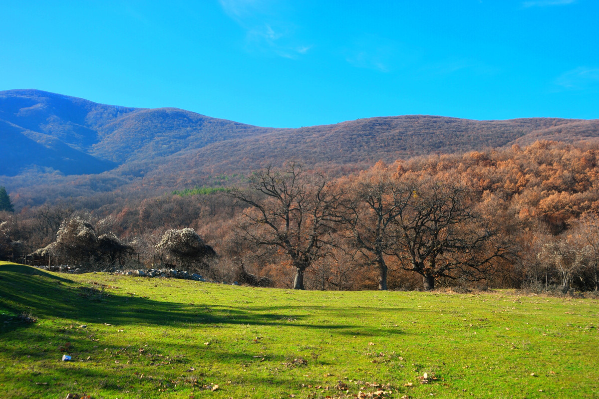 SAM 8354 — Postimages