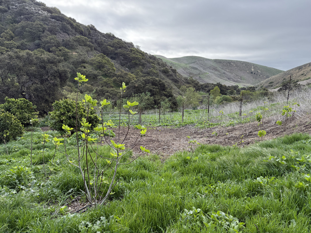 IMG 7009 — Postimages