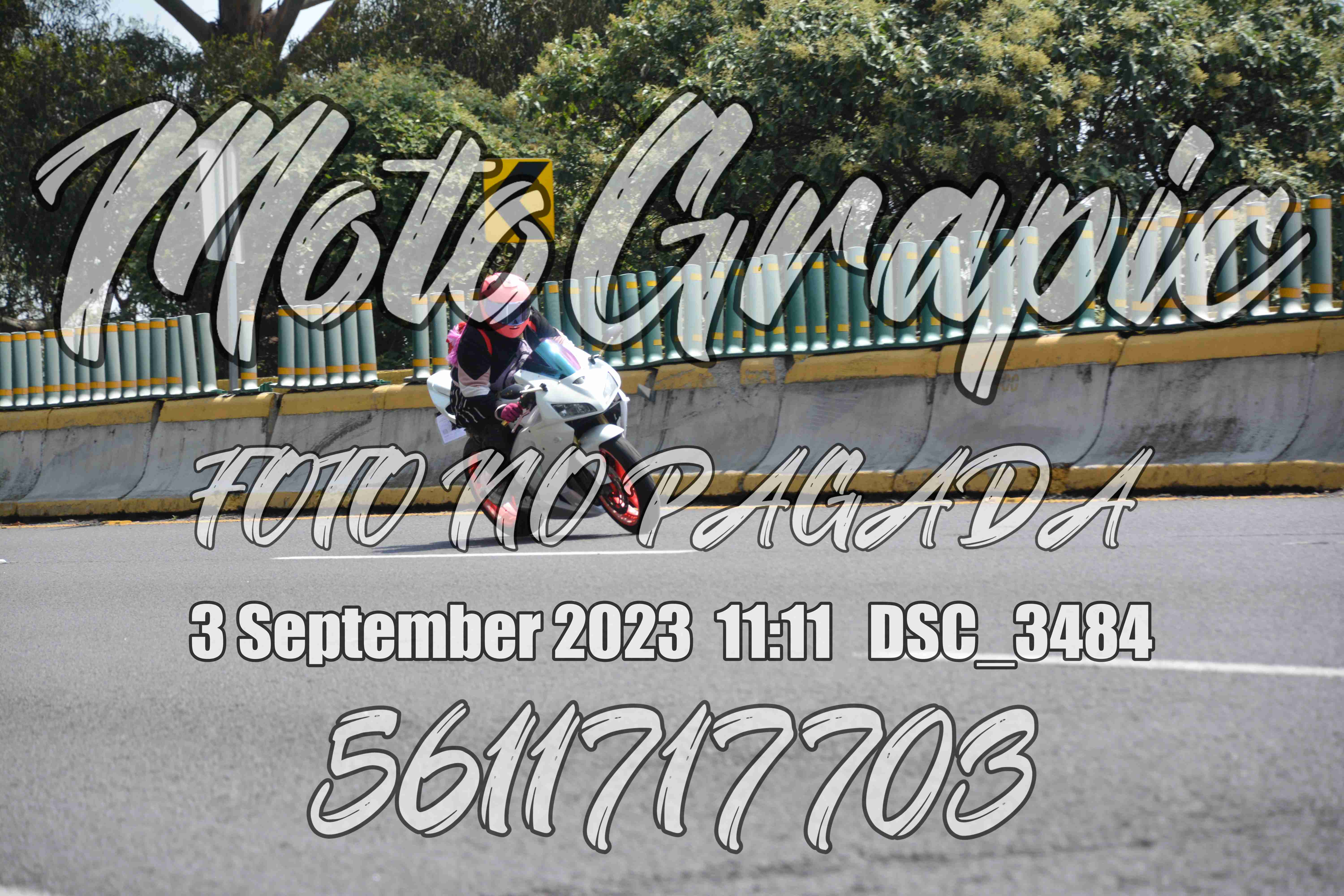 motgr DSC 3484 — Postimages