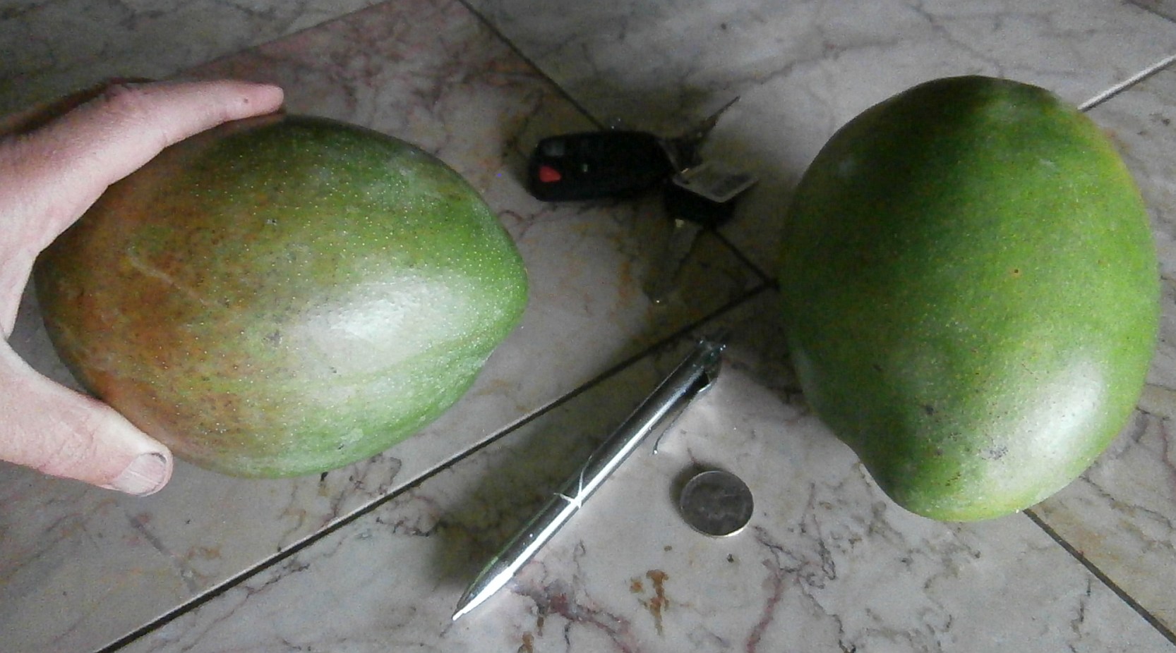 supermango (2) — Postimages