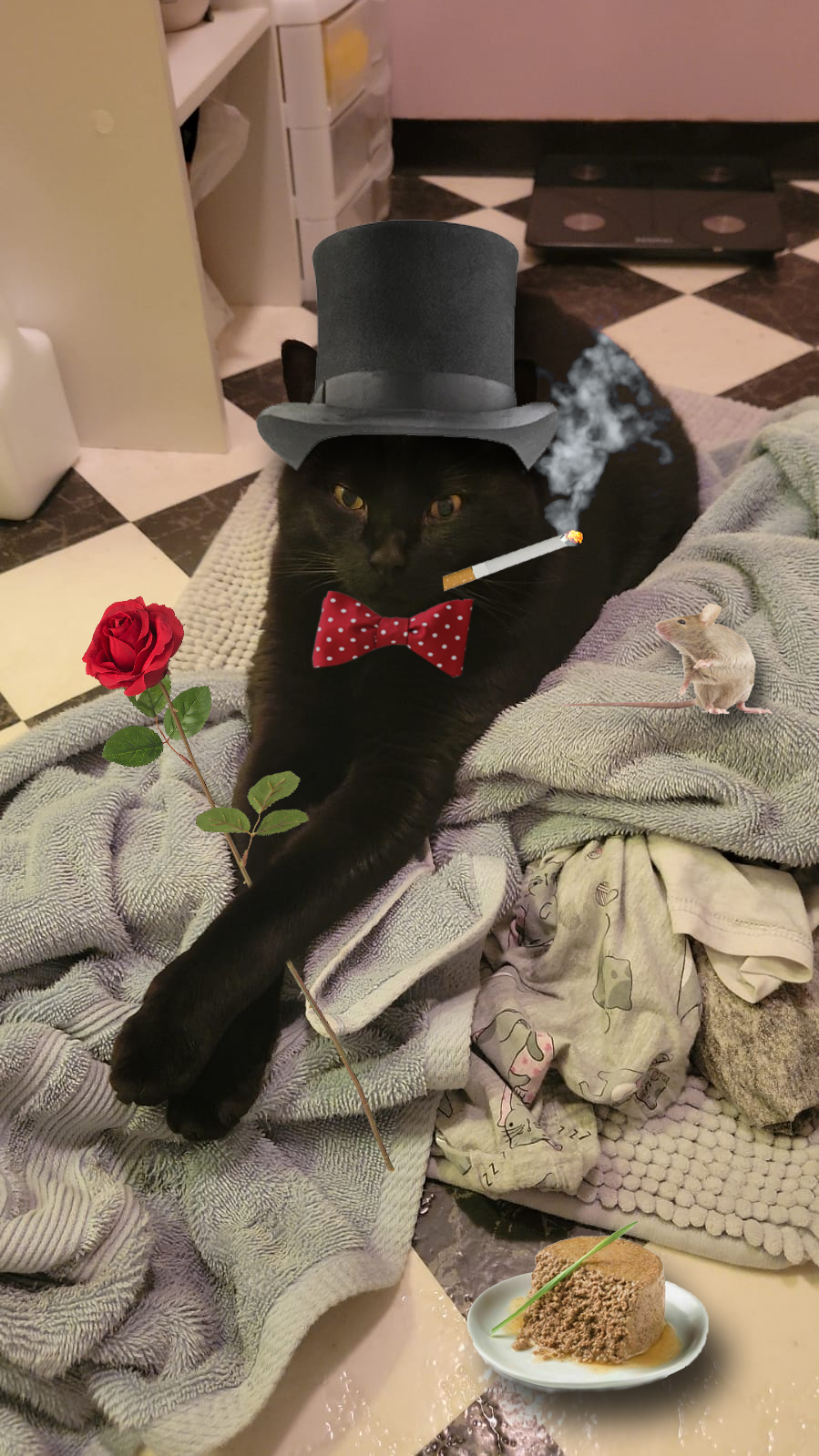 fancy cat — Postimages