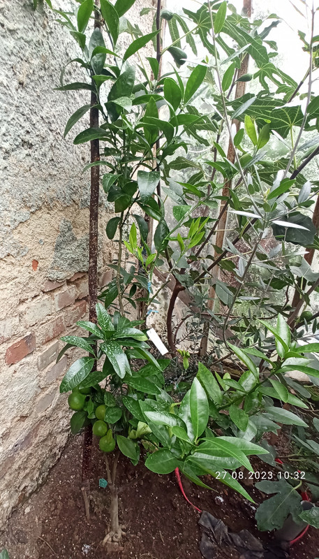 IMG 20230827 134359 — Postimages