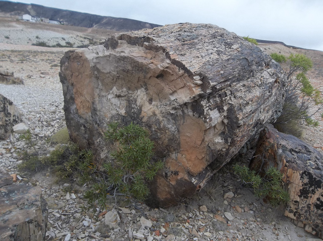 100 4954 — Postimages