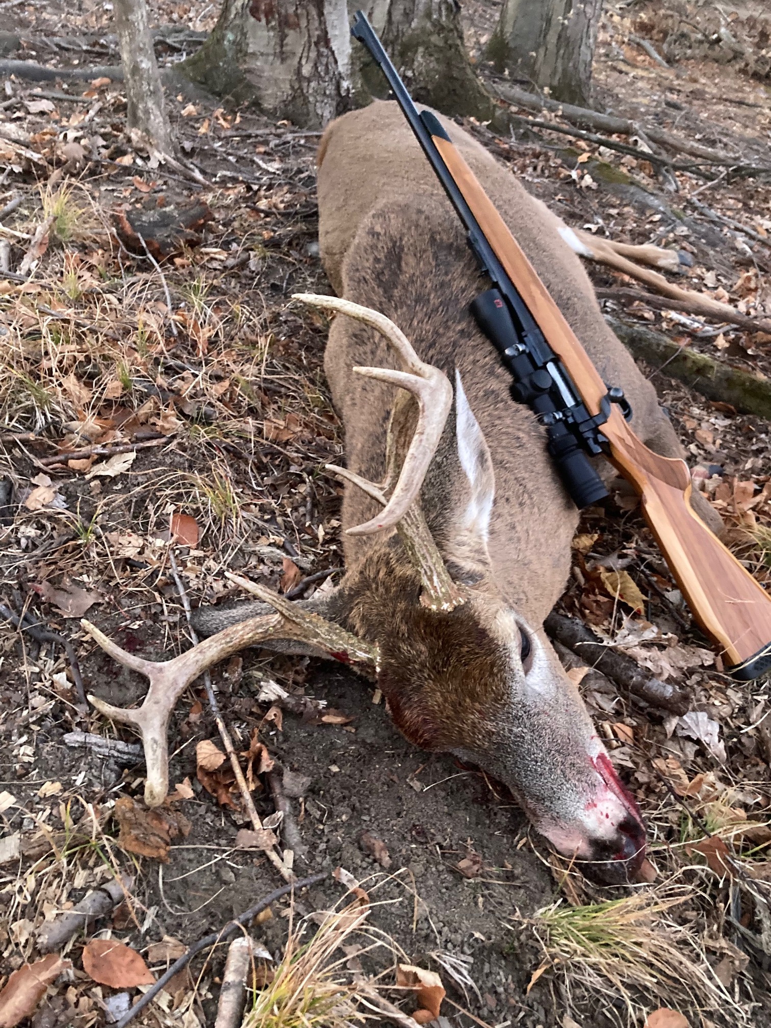 IMG 1279 — Postimages