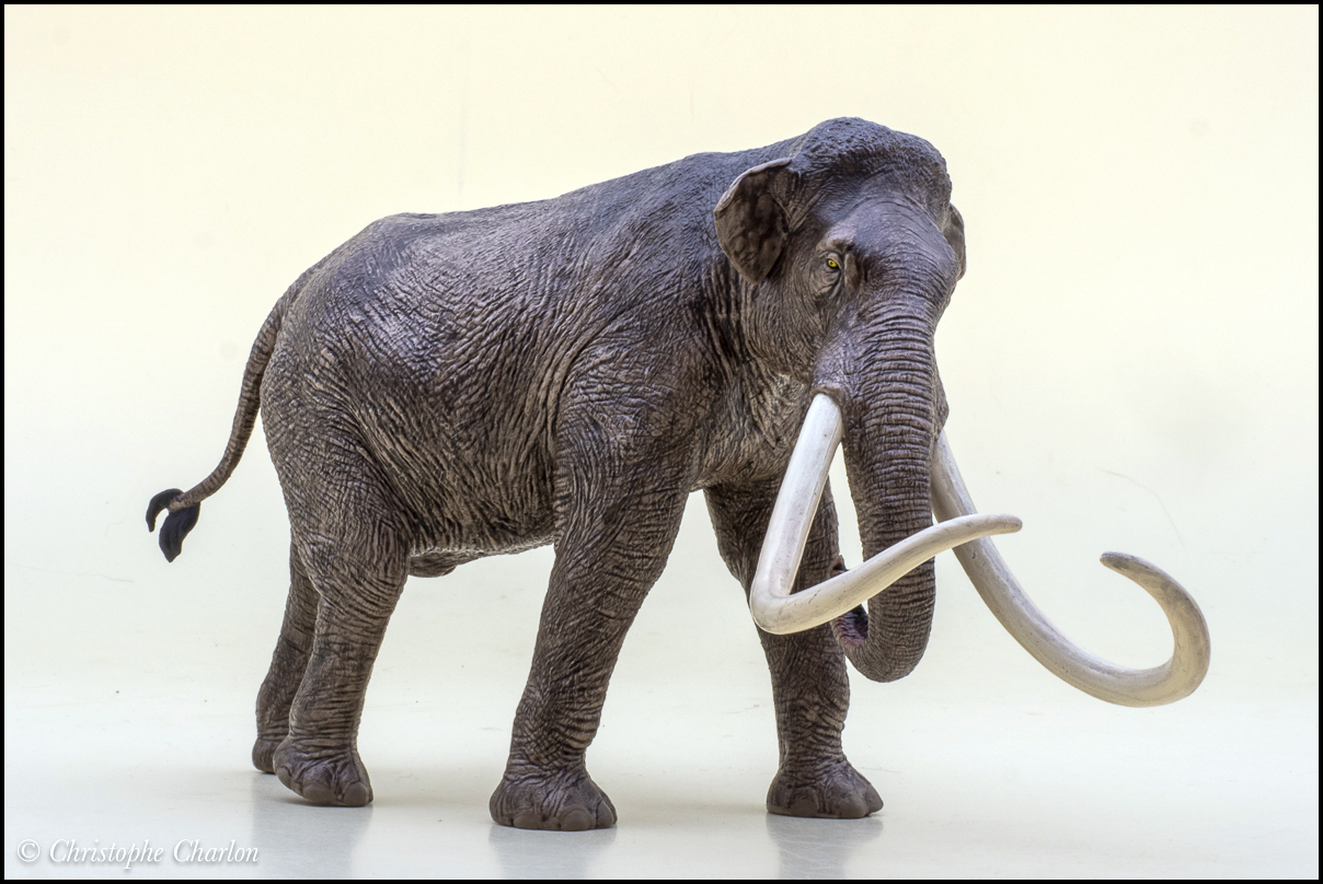 2025 Prehistoric life Figure of the Year, Eofauna Columbian mammoth