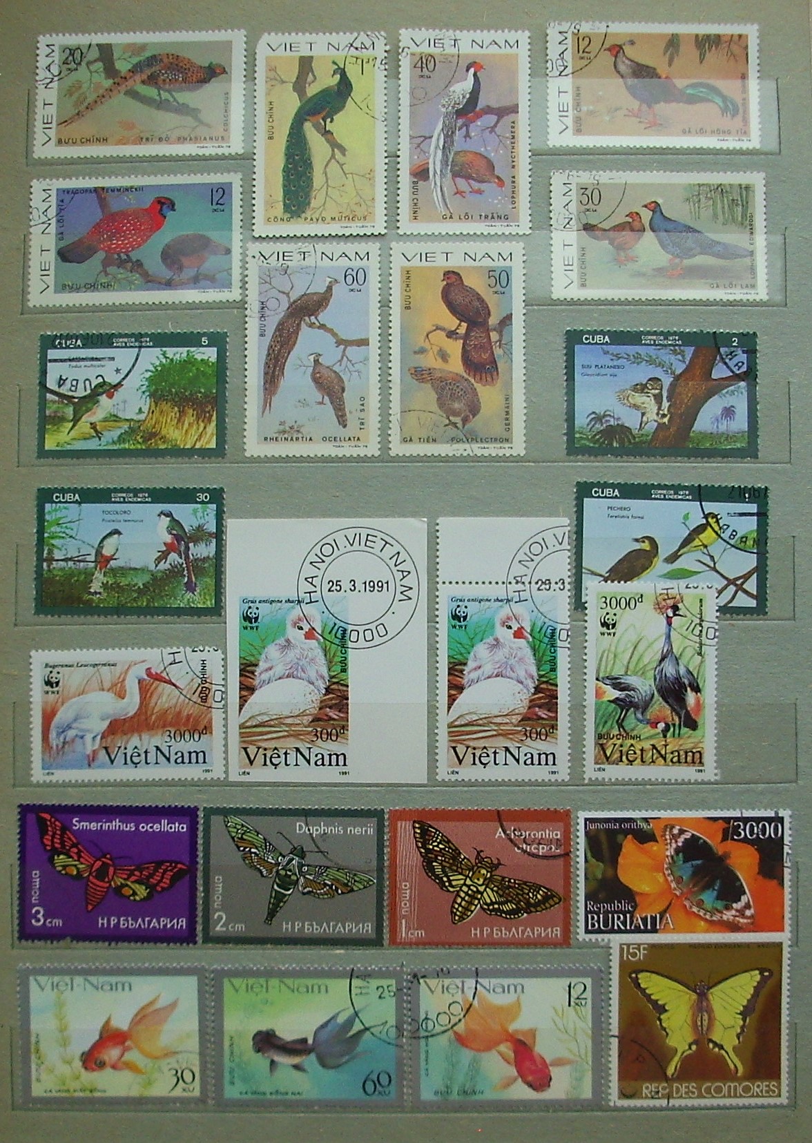 IMG 7474 — Postimages