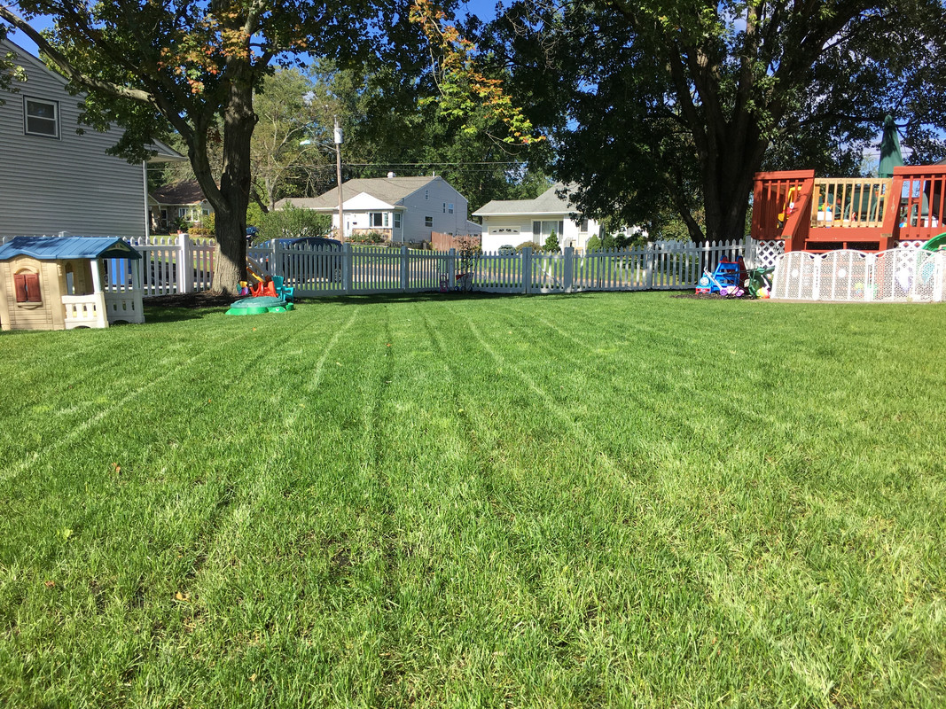 IMG 3729 — Postimages