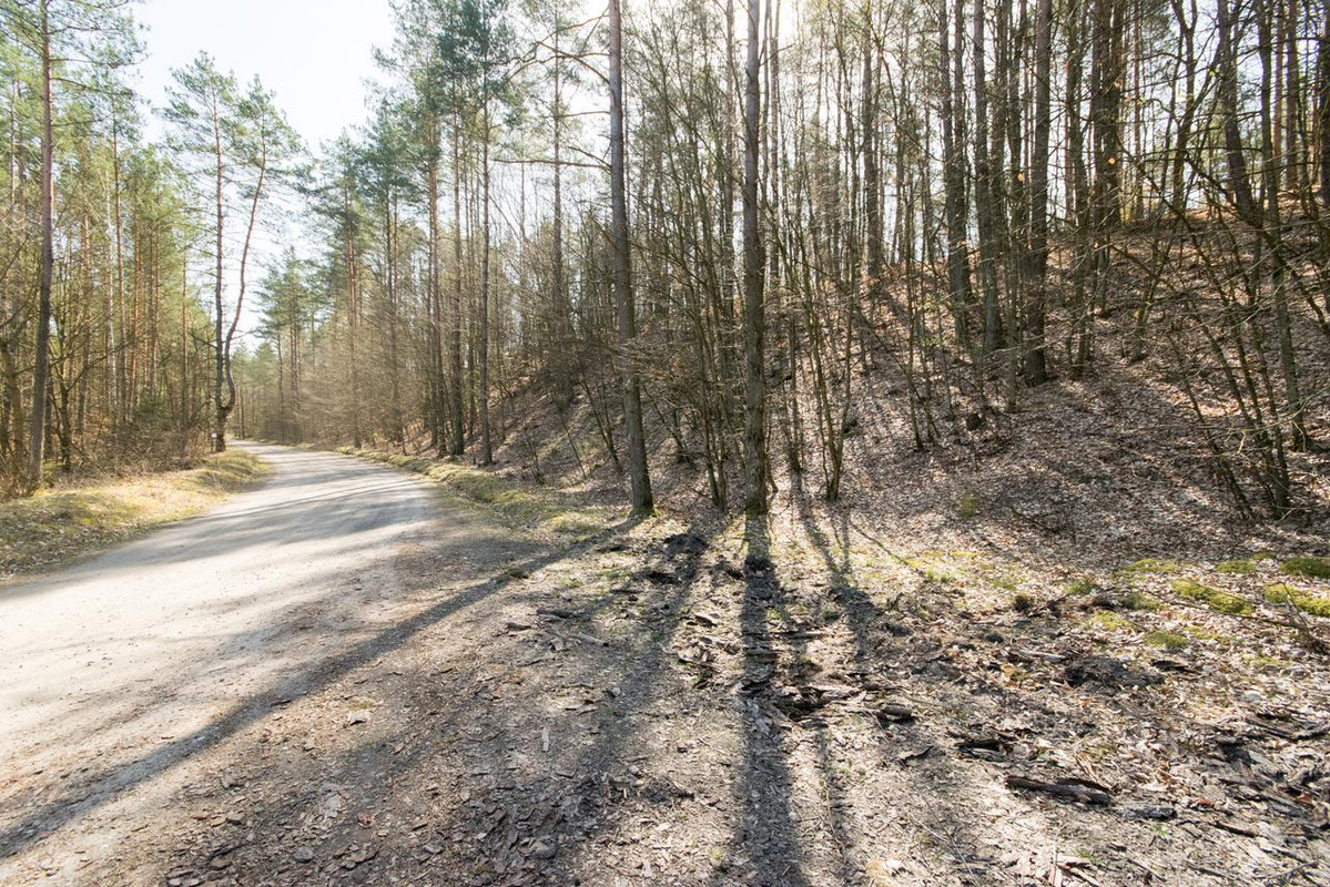 DSC 0033 — Postimages