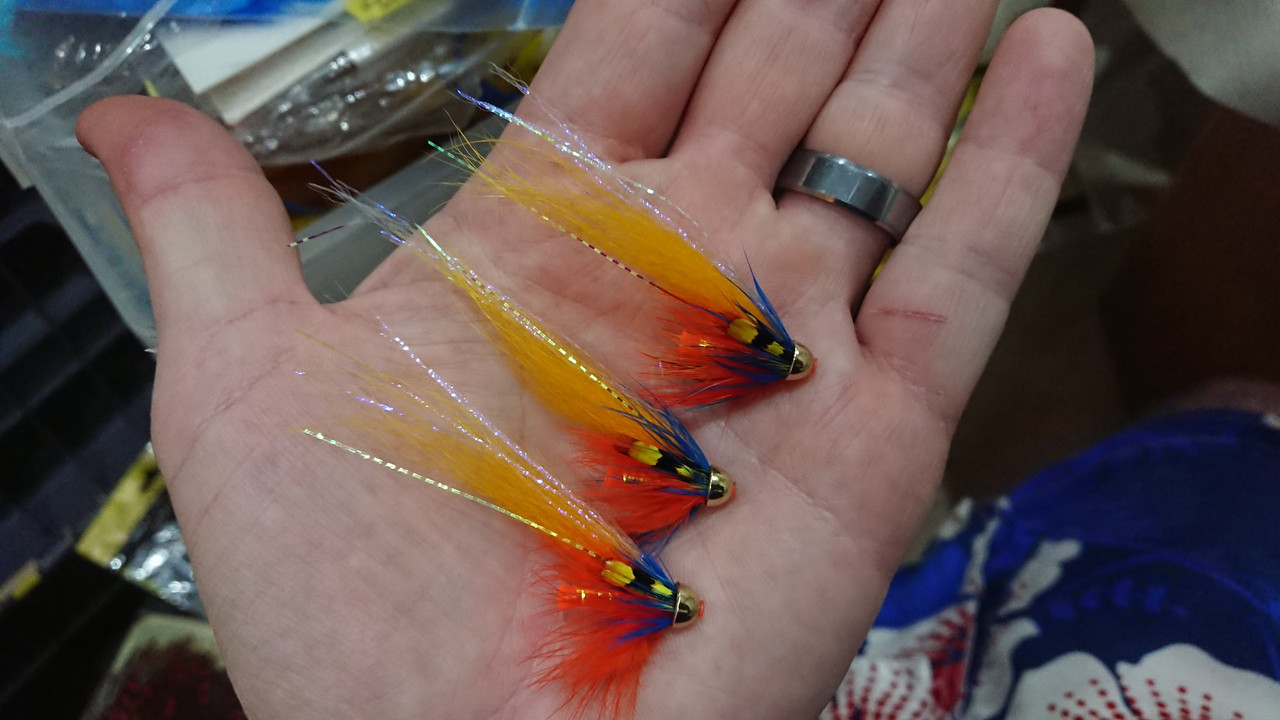 DSC 0548 — Postimages