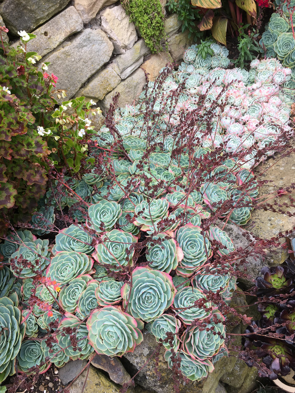 IMG 1729(1) — Postimages