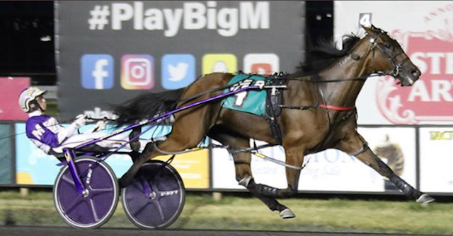 News Article - Australian Harness Racing