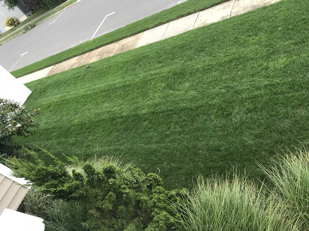 IMG 9323 — Postimages