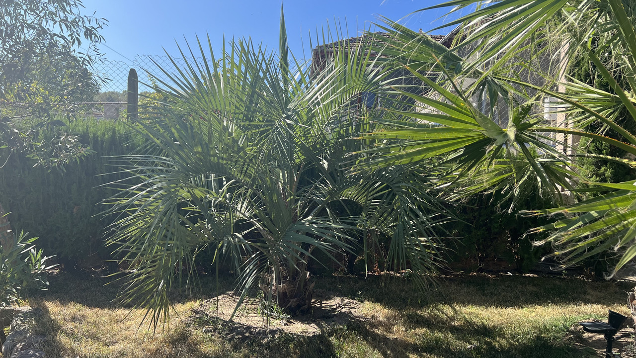 IMG 1551 — Postimages