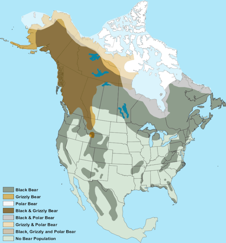bear areas map — Postimages