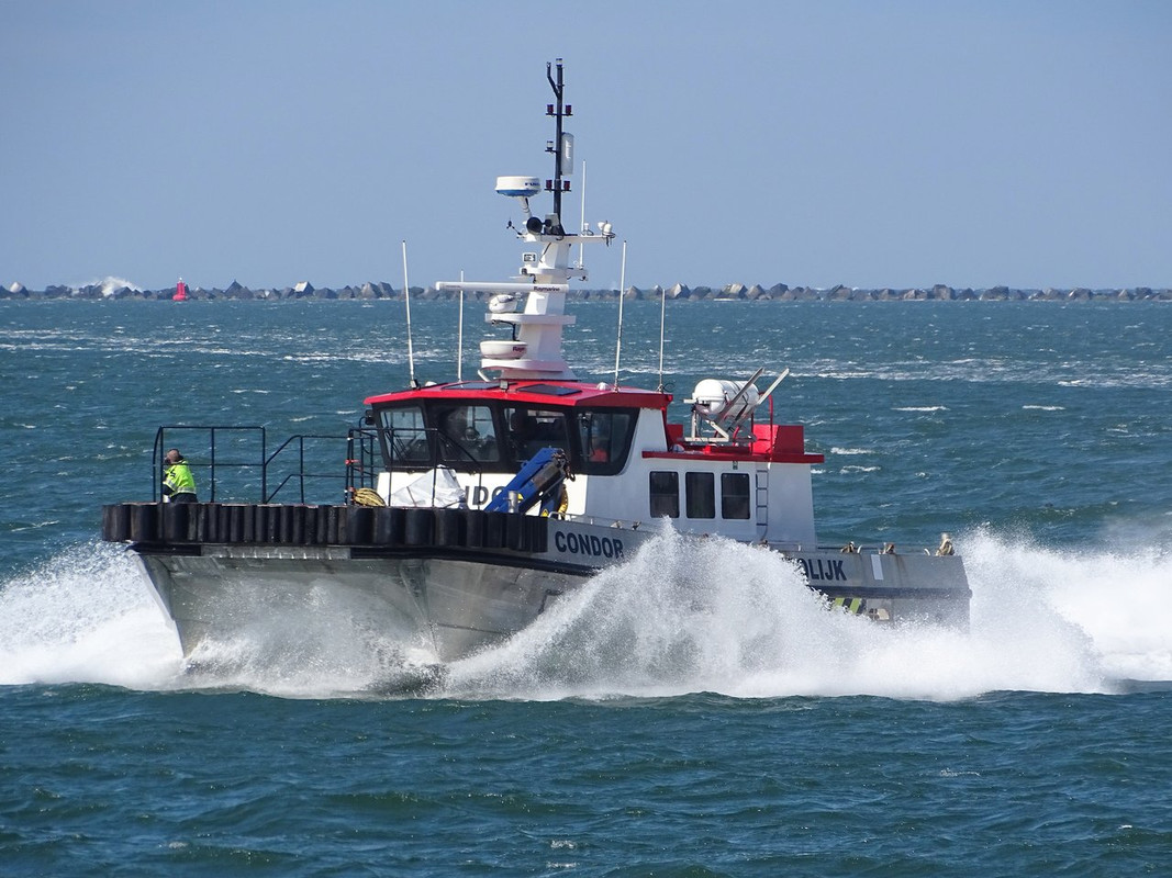 Condor, 9 4 2025, nr 1 — Postimages