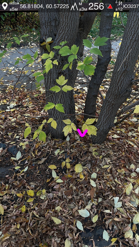 6 F9 D89 B4 EDCD 4406 8088 139 BFBAE816 C — Postimages