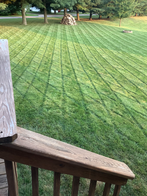 Does anyone else have problem with wheel ruts from a push mower? | Lawn ...