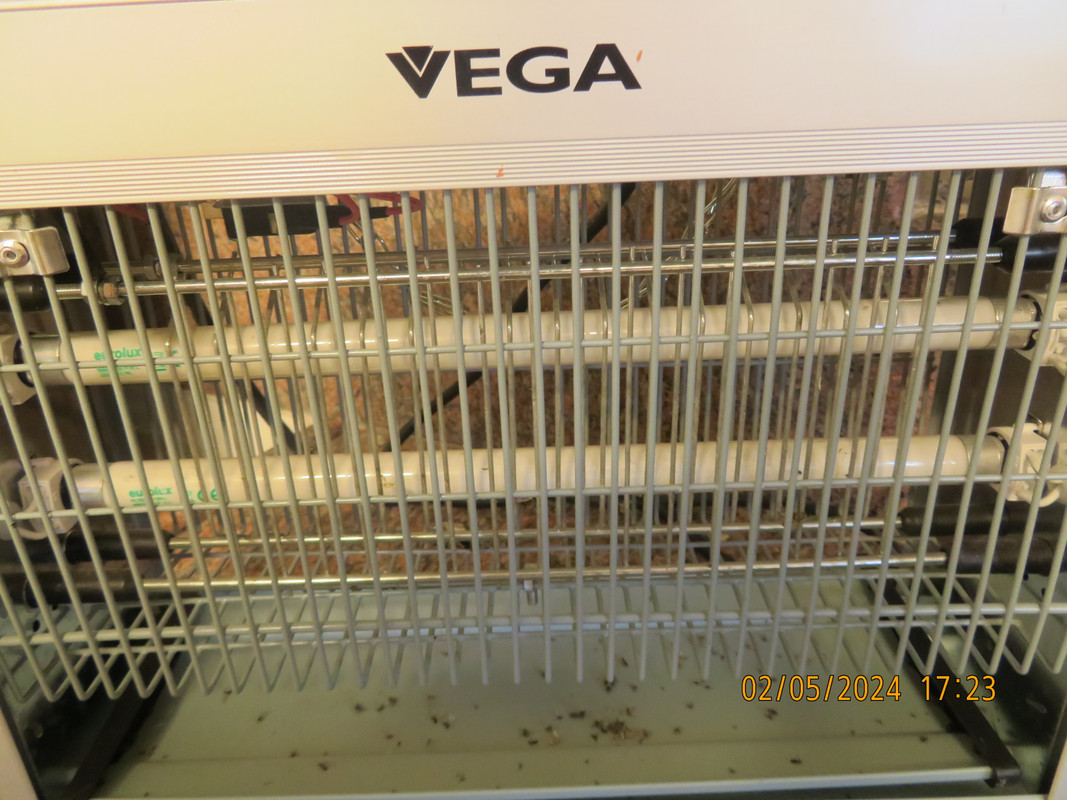 IMG 8152 — Postimages