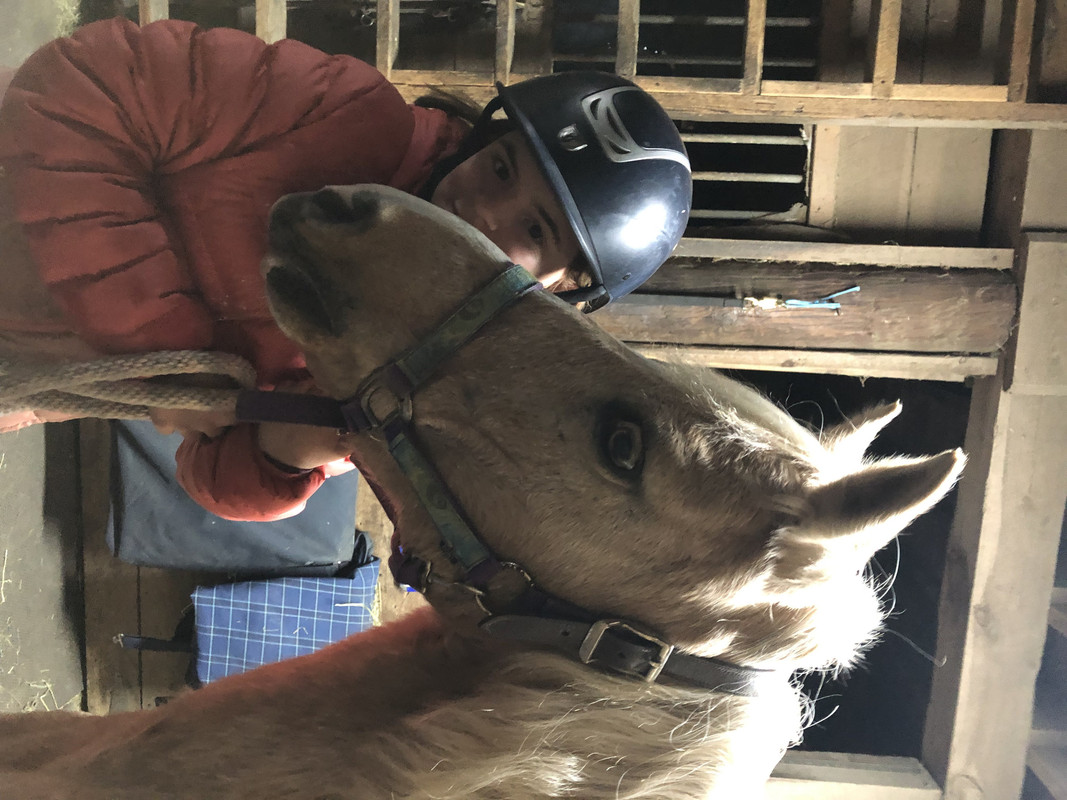 39404871 A2 E5 4938 93 D7 2 F6 CE6 F6 FEE0 — Postimages