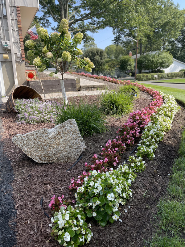 2 F49 D3 DB 0 B3 D 4659 81 F8 7 E82 F4285 C29 — Postimages