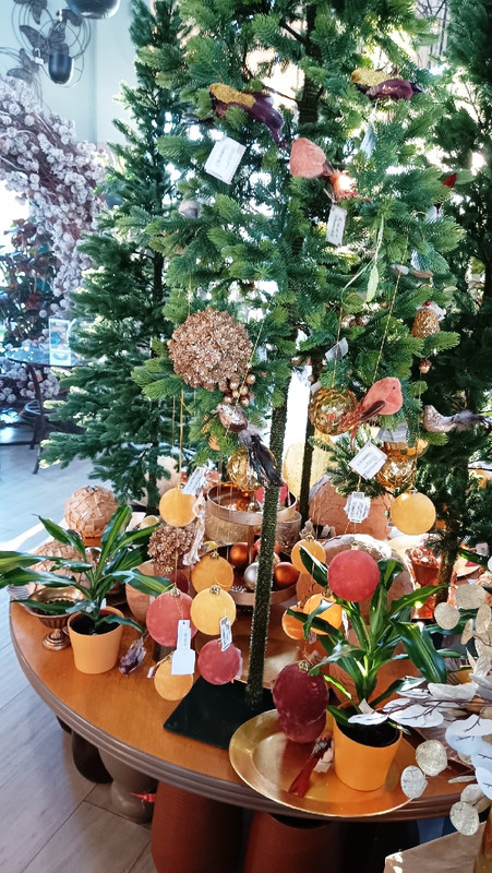 sj Aexp Eihx A — Postimages