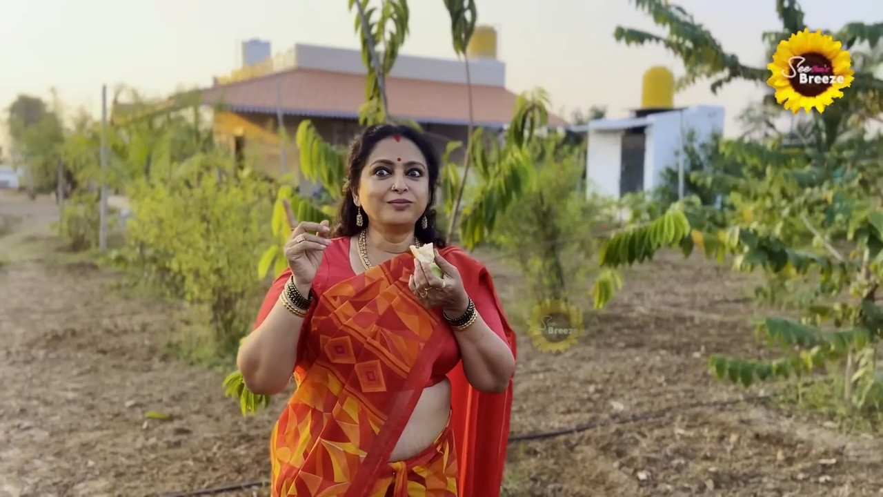 Matured Seetha open intentional navel show in orange saree mp4 snapshot 00 28 320 — Postimages